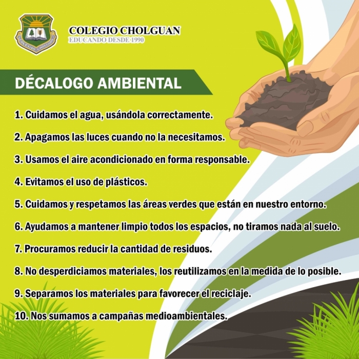 Noticias : Colegio Cholguan