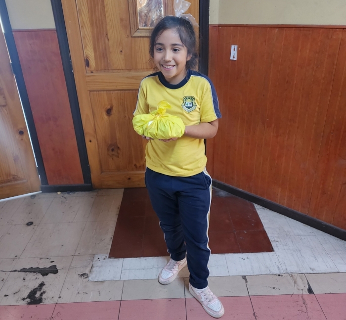 Noticias : Colegio Cholguan